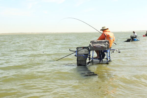 Feeder Angling – SAFBAF | South Africa Freshwater Bank Angling Federation