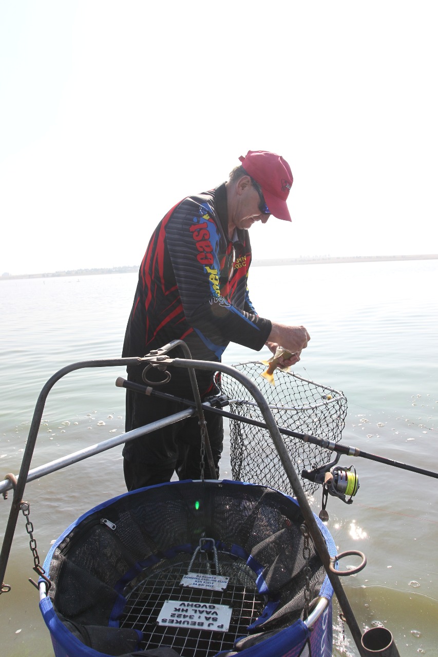All Transvaal – SAFBAF | South Africa Freshwater Bank Angling Federation